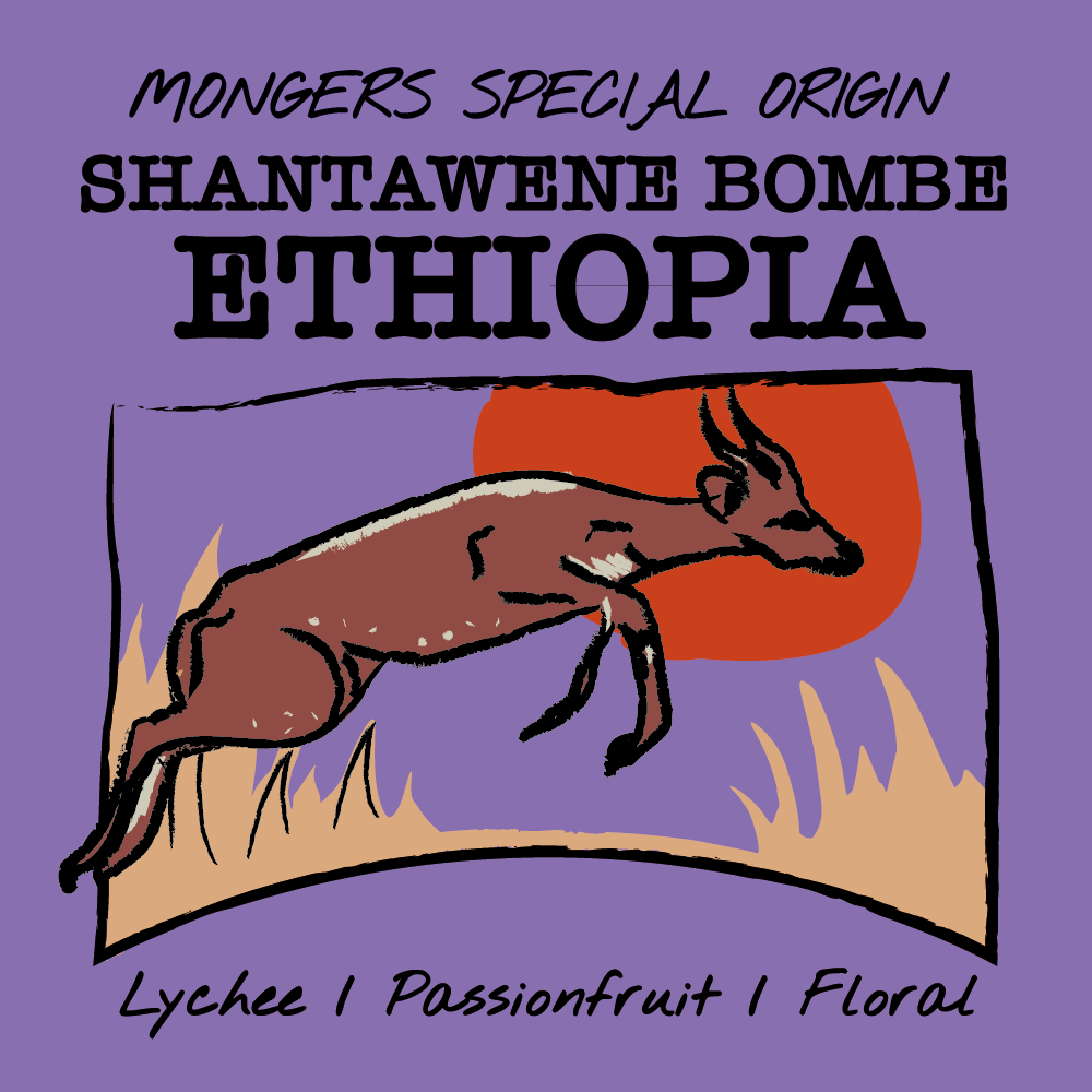 ETHIOPIA - SHANTAWENE - BOMBE – Coffee Mongers Roasting Company
